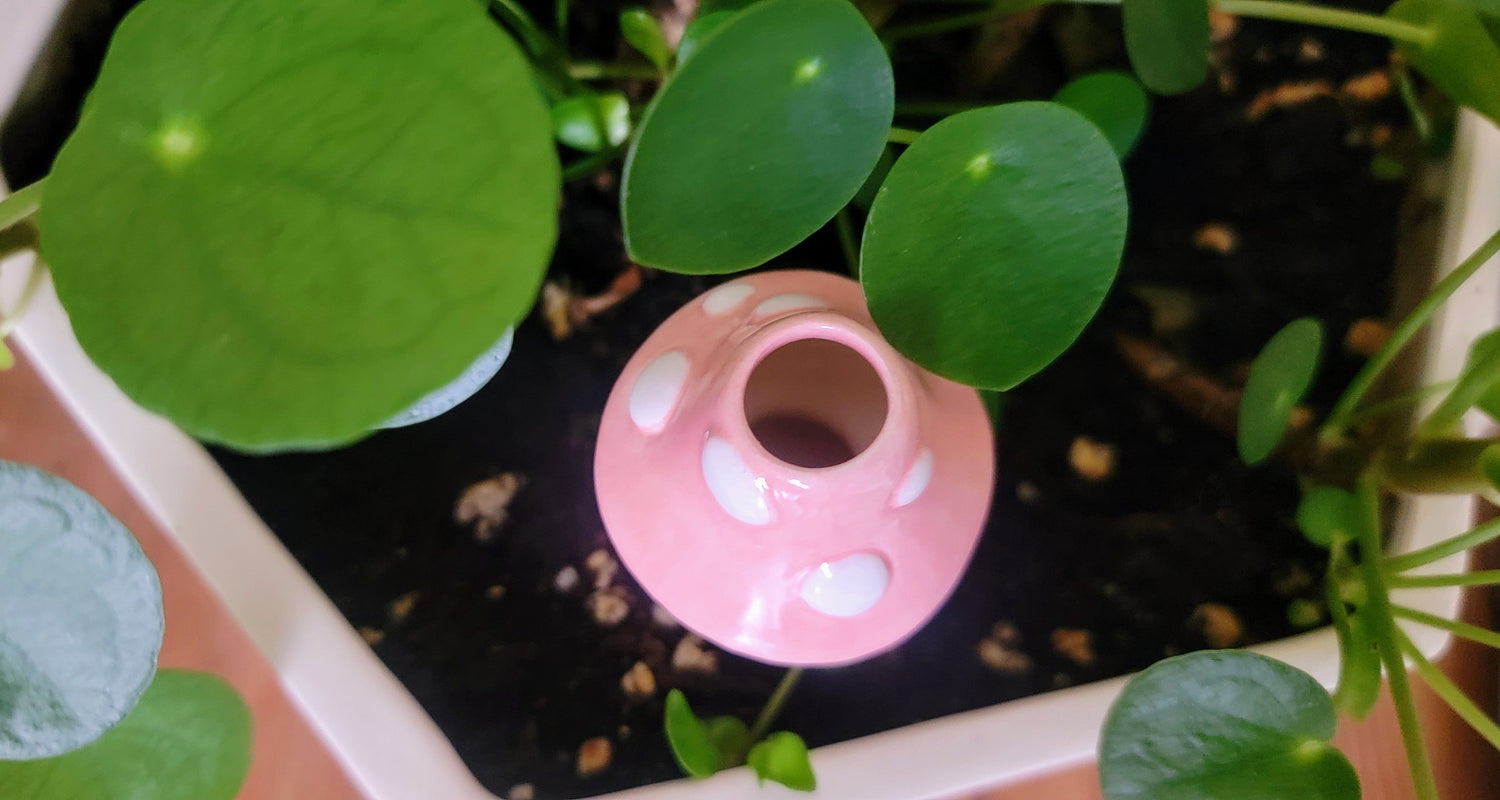 Small Toadstool Watering Spike – Plow & Hearth