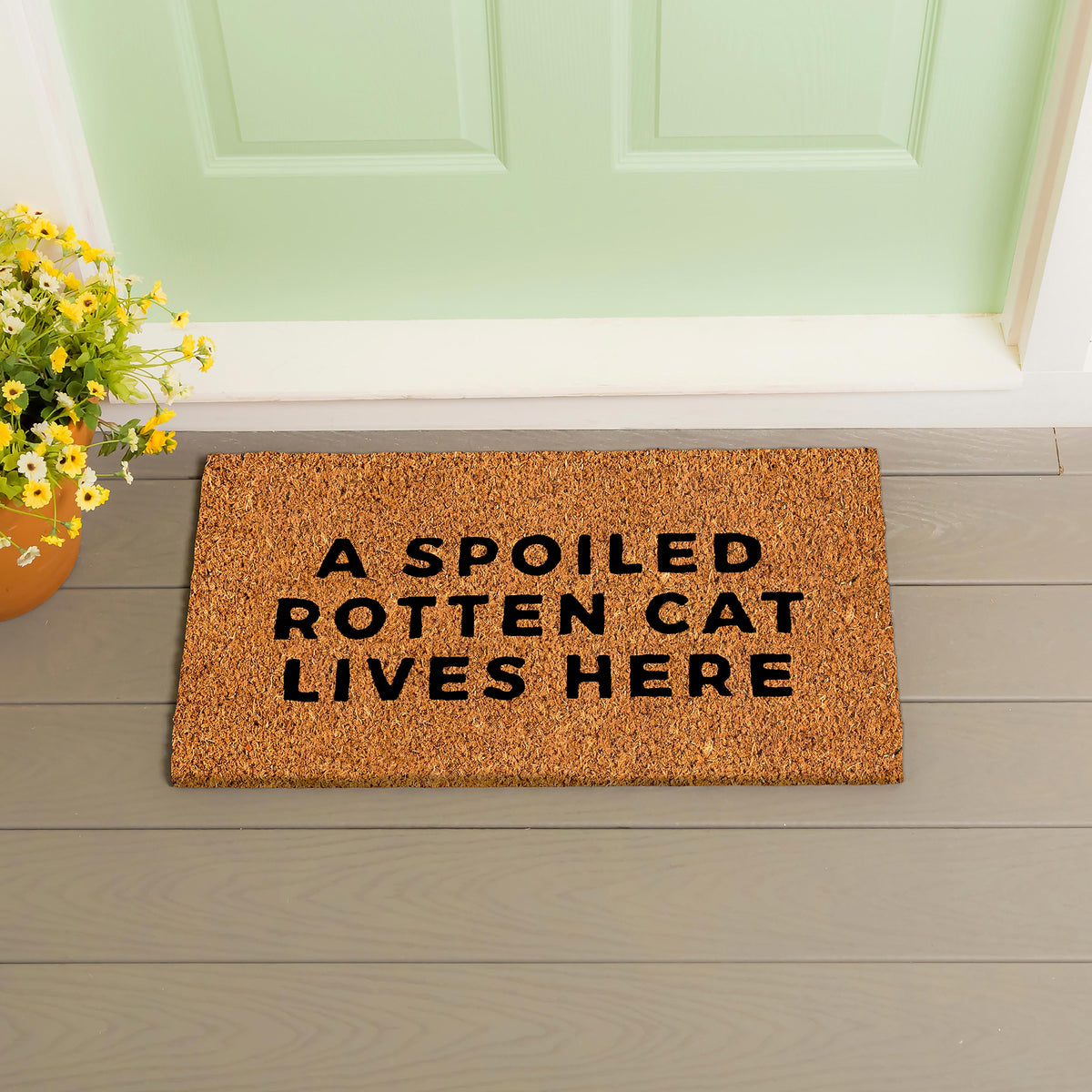 A spoiled rotten cat Coir Mat – Plow & Hearth