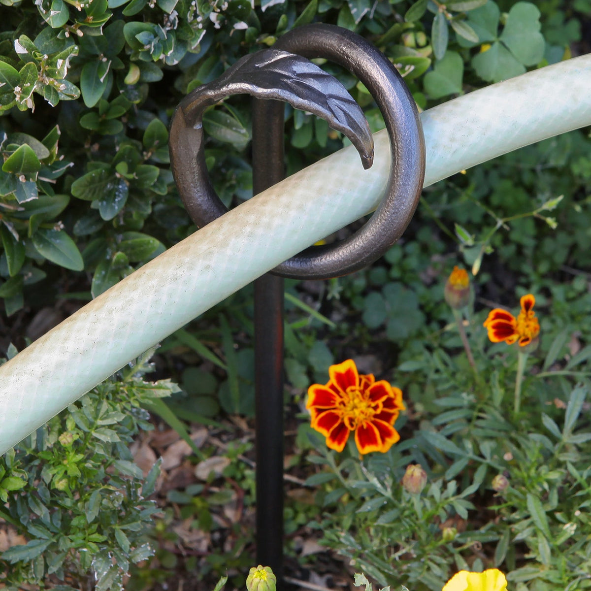 Leaf End Hose Guard/Guide, Set of 6 – Plow & Hearth