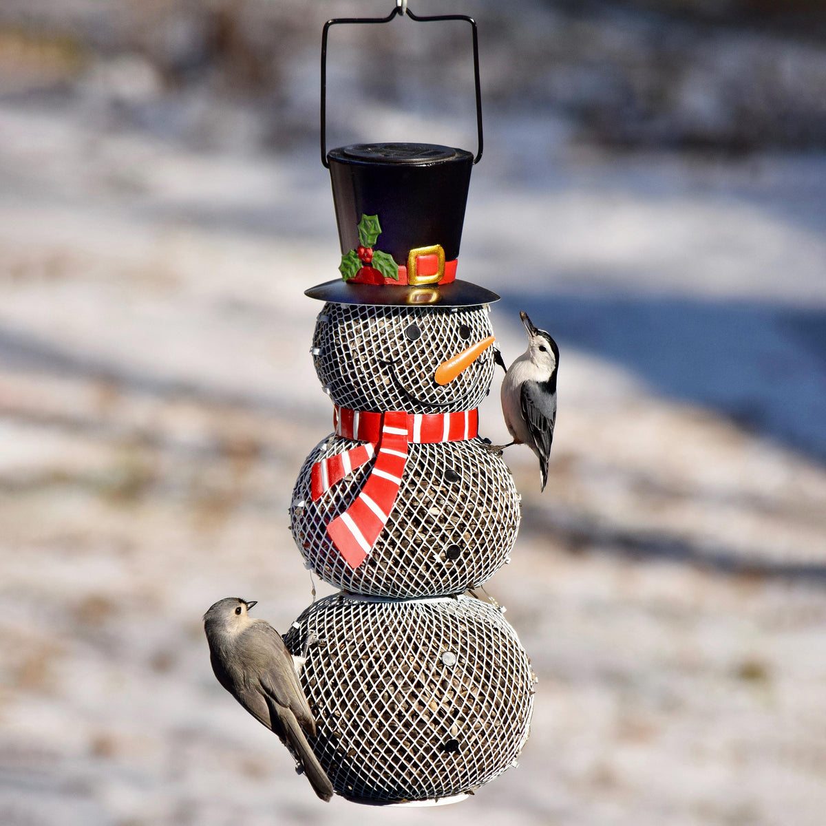 Solar Snowman Metal Mesh Bird Feeder – Plow & Hearth