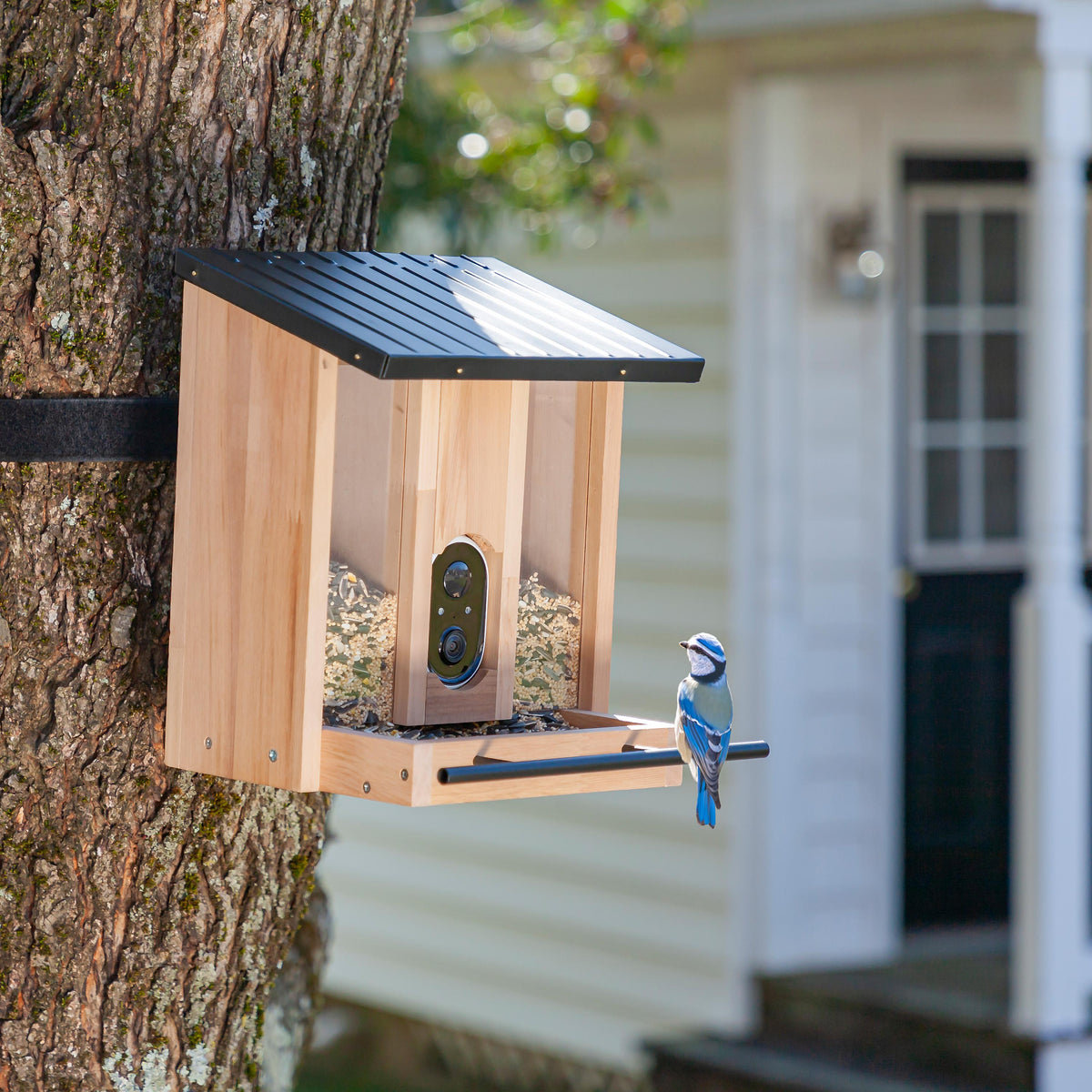 BirdsIVue Smart Feeder: Solar Wooden Bird Feeder – Plow & Hearth