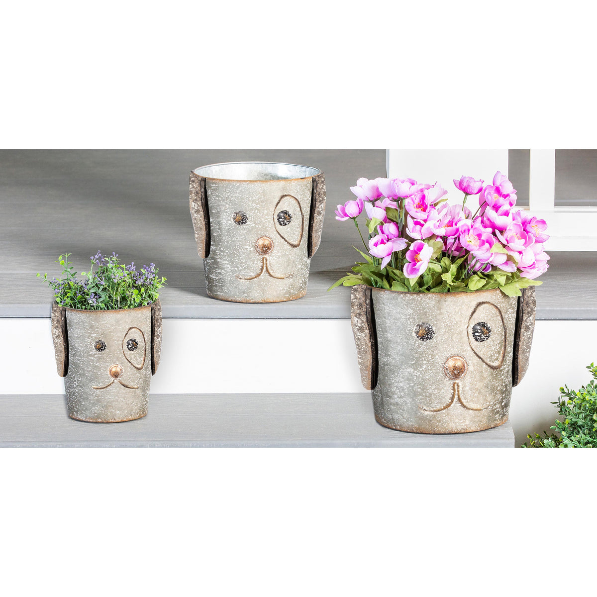 Metal Dog Bucket Planters, Set of 3 – Plow & Hearth
