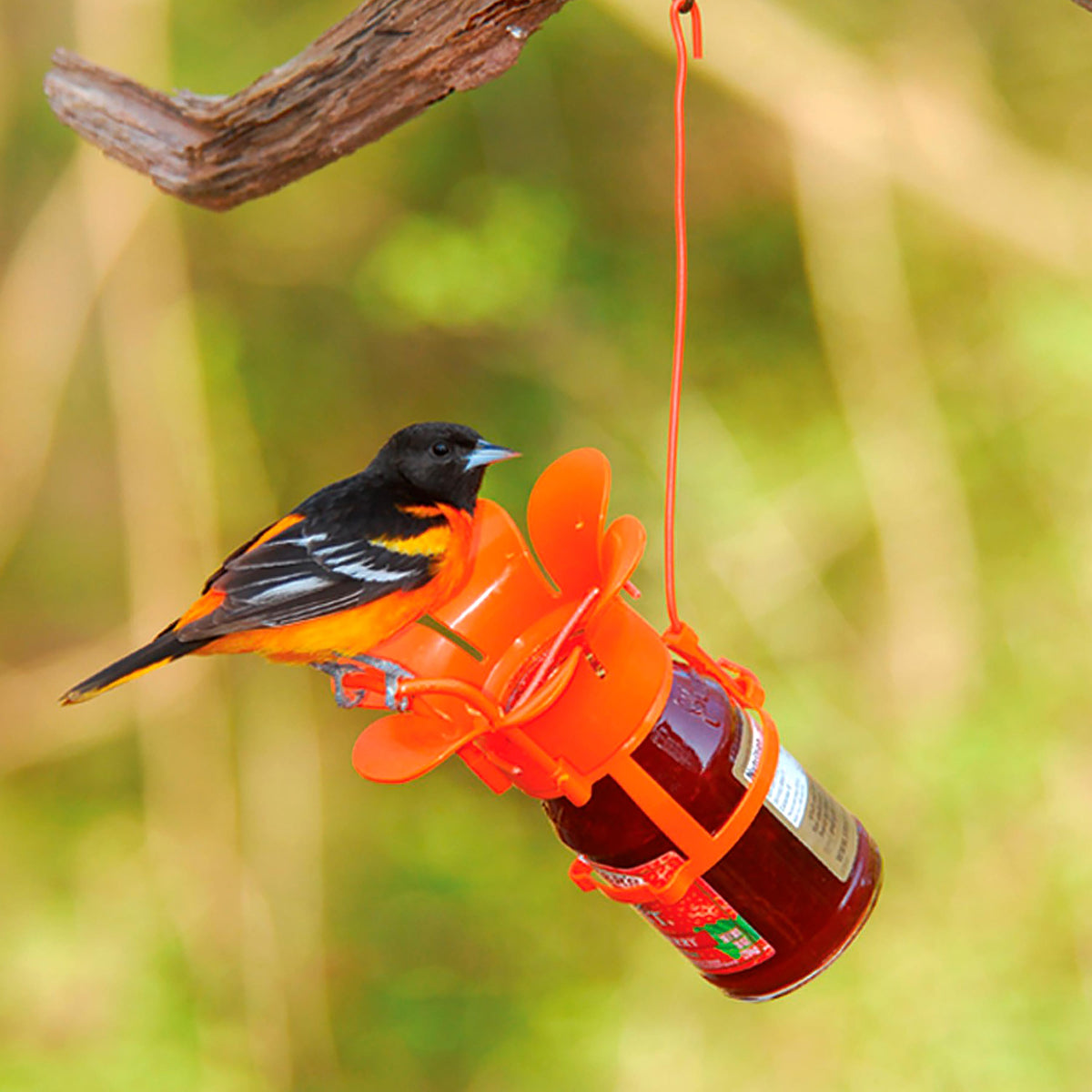 Jelly/Jam Jar Oriole Bird Feeder – Plow & Hearth