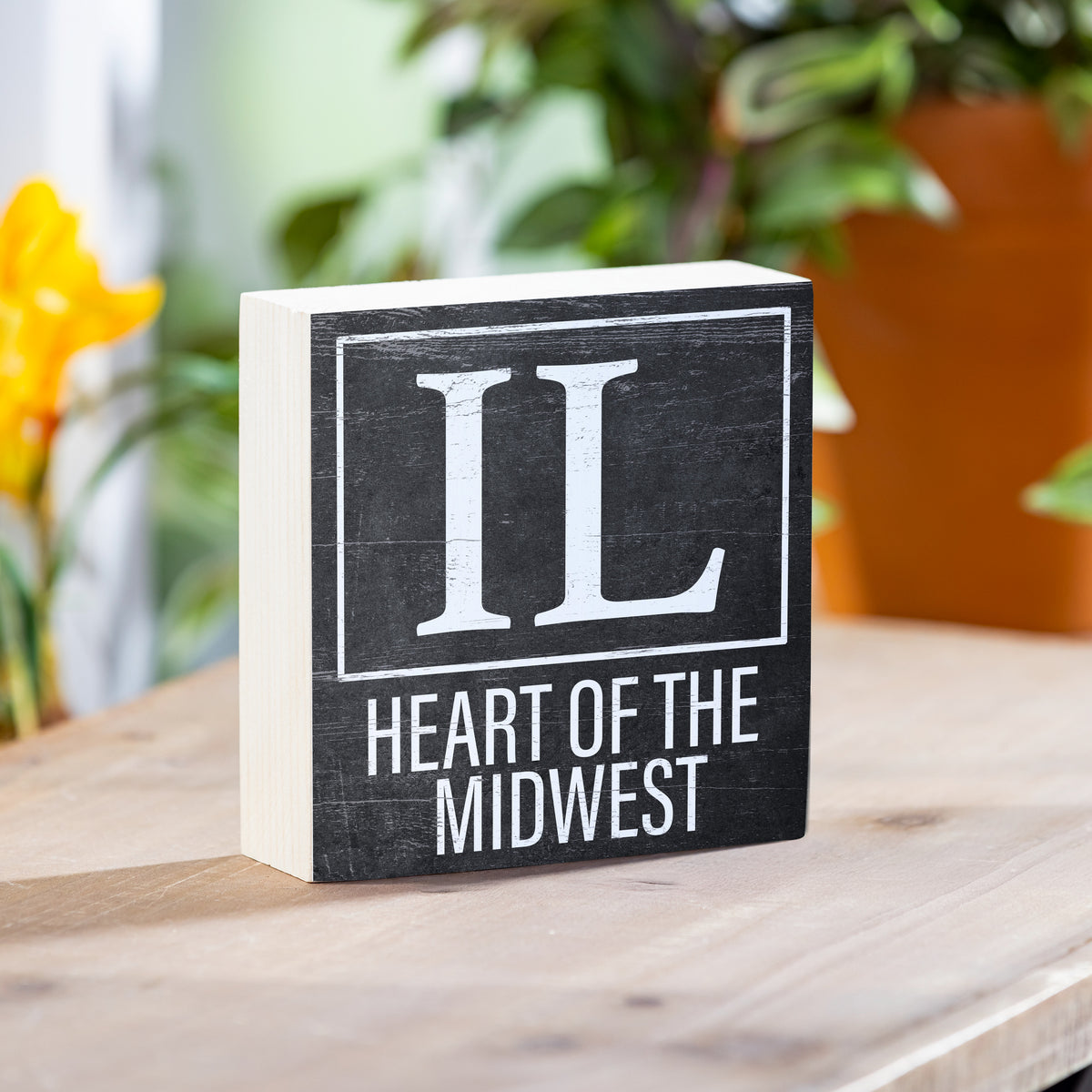State Sign Wood Block Illinois 6"x6" – Plow & Hearth