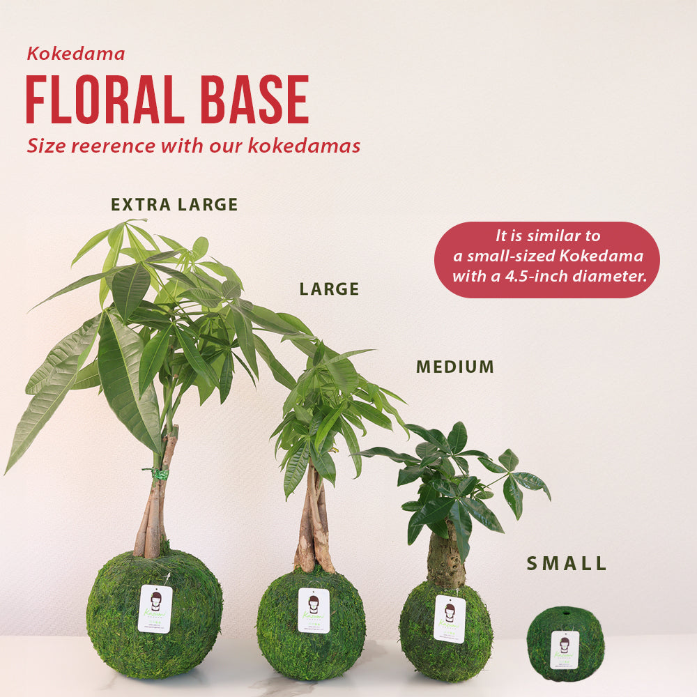 Natural MOSS 4.5" Kokedama Floral Base - Perfect for Single Stems, Fre ...
