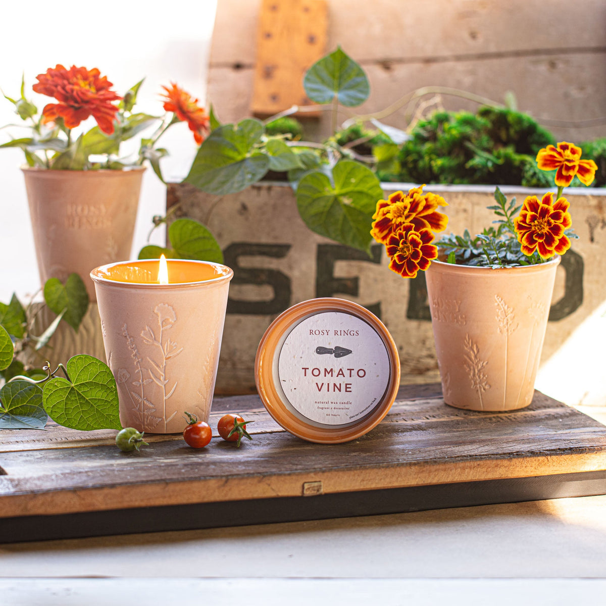 Tomato Vine Garden Pot Candle + Plantable Seed Paper Dust Covers – Plow ...