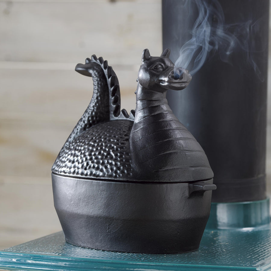 Dragon Cast Iron Steamer | Wood Stove Gifts | Plow & Hearth