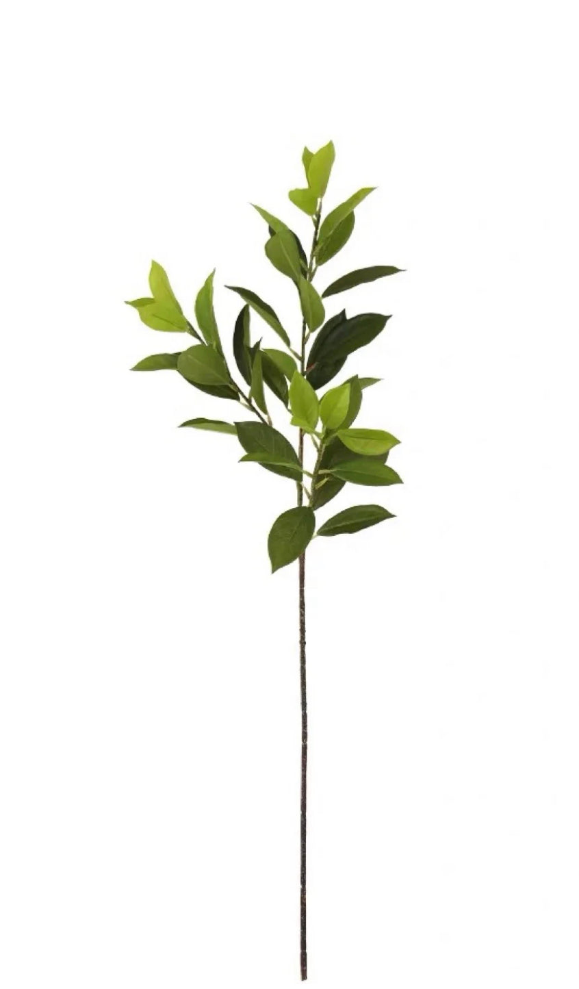 Artificial Bay Leaf Stems - Bundle of 4 – Plow & Hearth