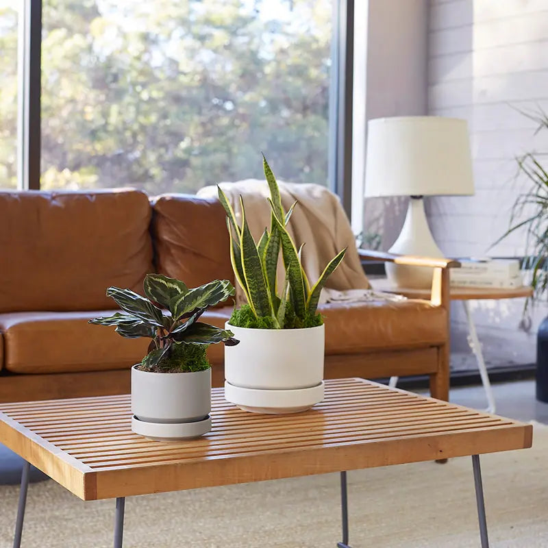 Round Two Planters – Plow & Hearth