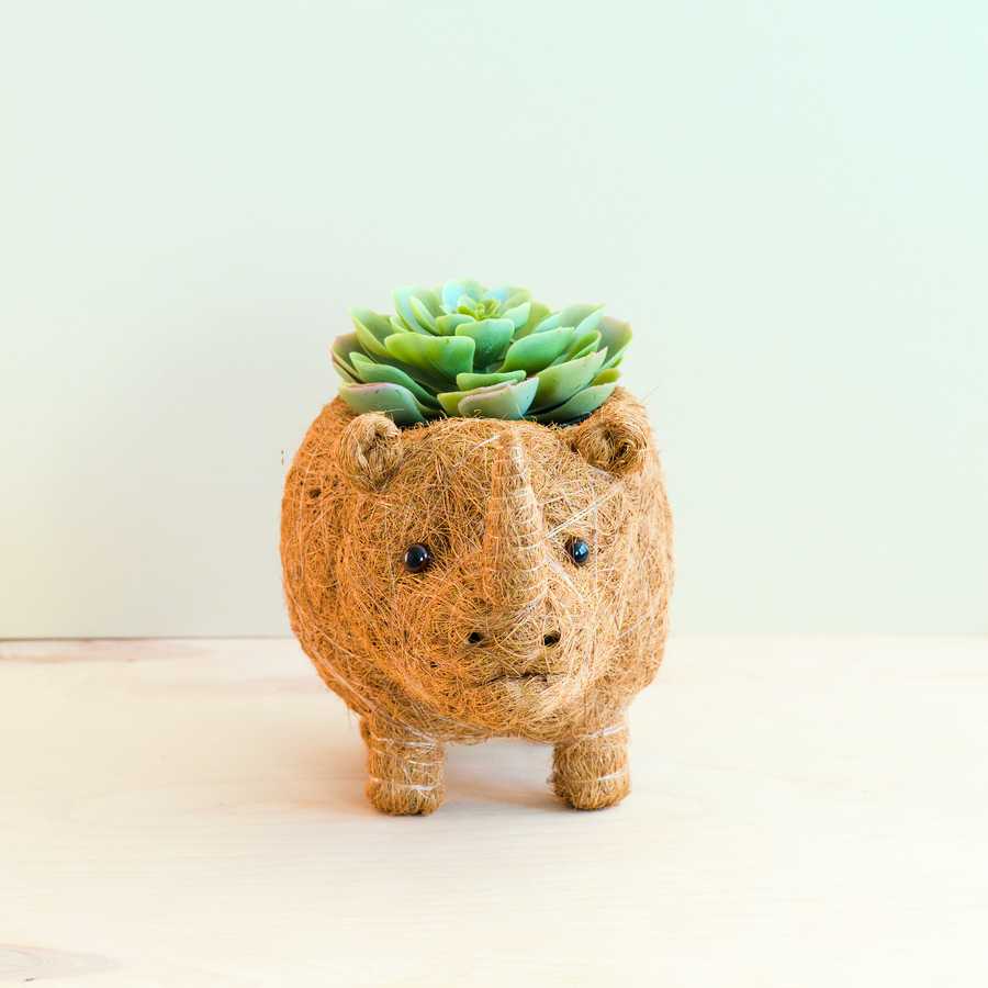Rhino Planter - Coco Coir Pot – Plow & Hearth